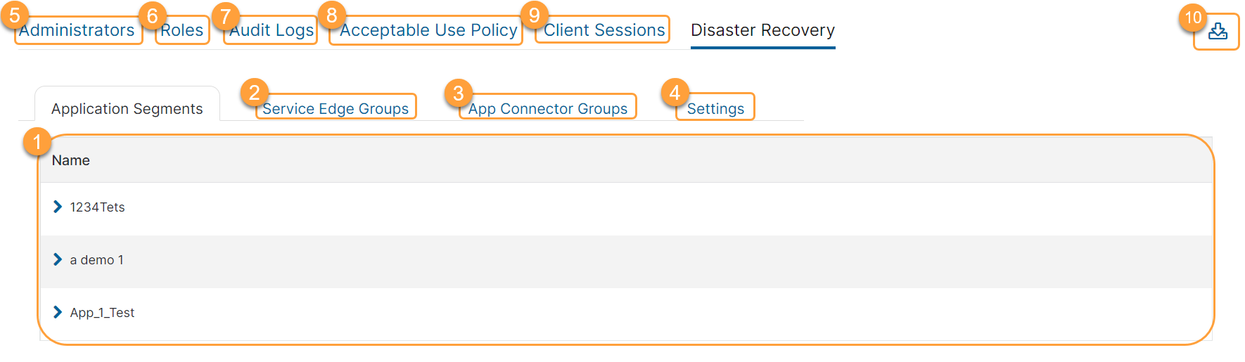 About Disaster Recovery Application Segments | Zscaler